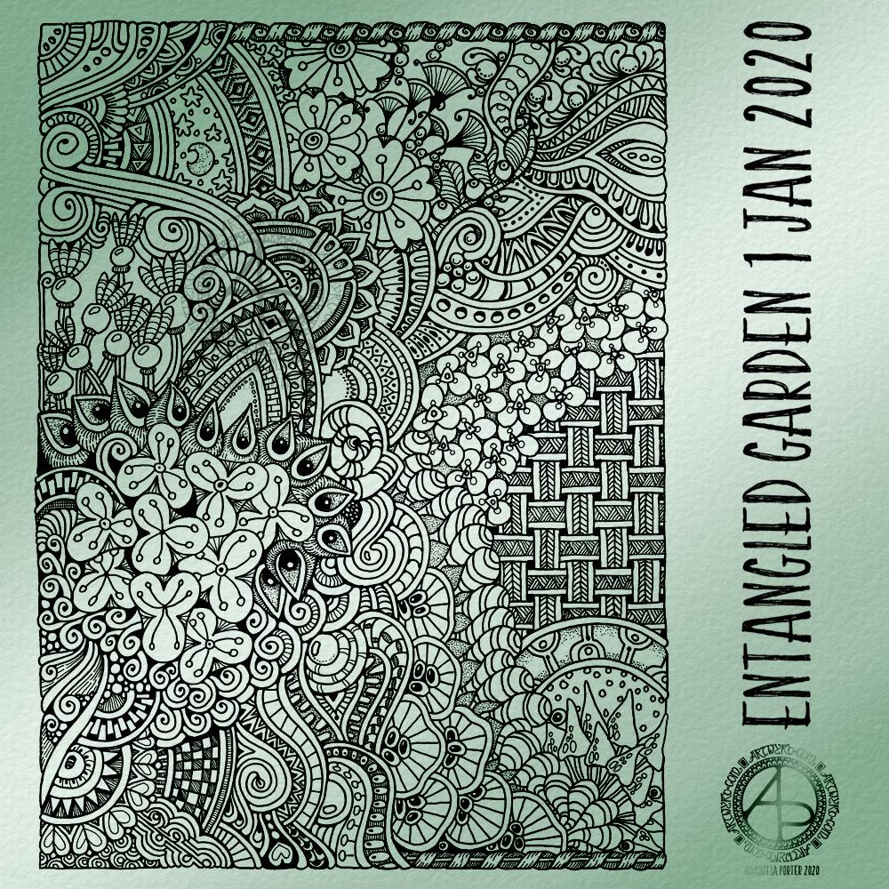 Entangled Garden drawing – Art is the Adventure
